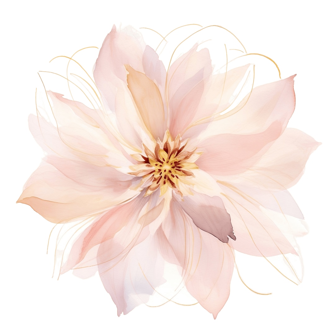 Boho Pink Watercolor Flower Clipart: Abstract Floral Bouquets (JPG ...