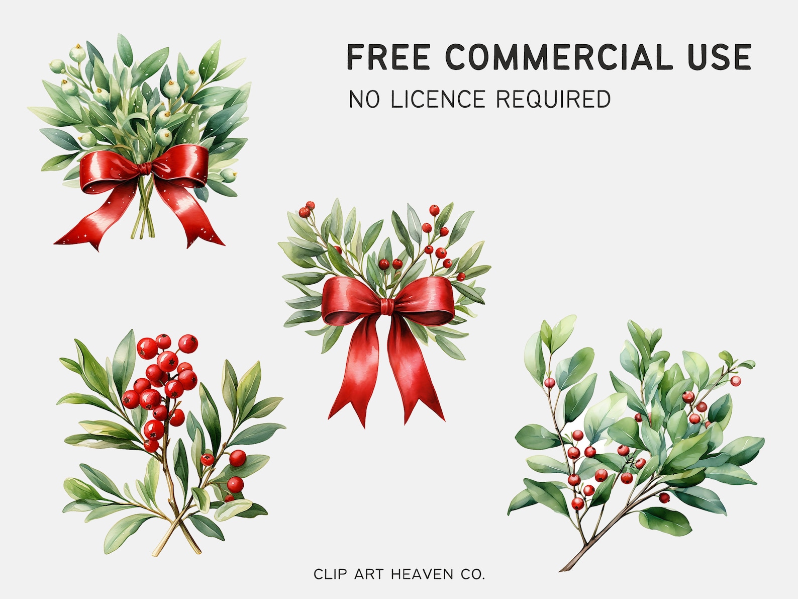 Mistletoe Clipart 10 PNG Watercolor Christmas Flower - Etsy