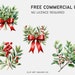 Mistletoe Clipart | 10 PNG | Watercolor Christmas Flower Clipart PNG ...