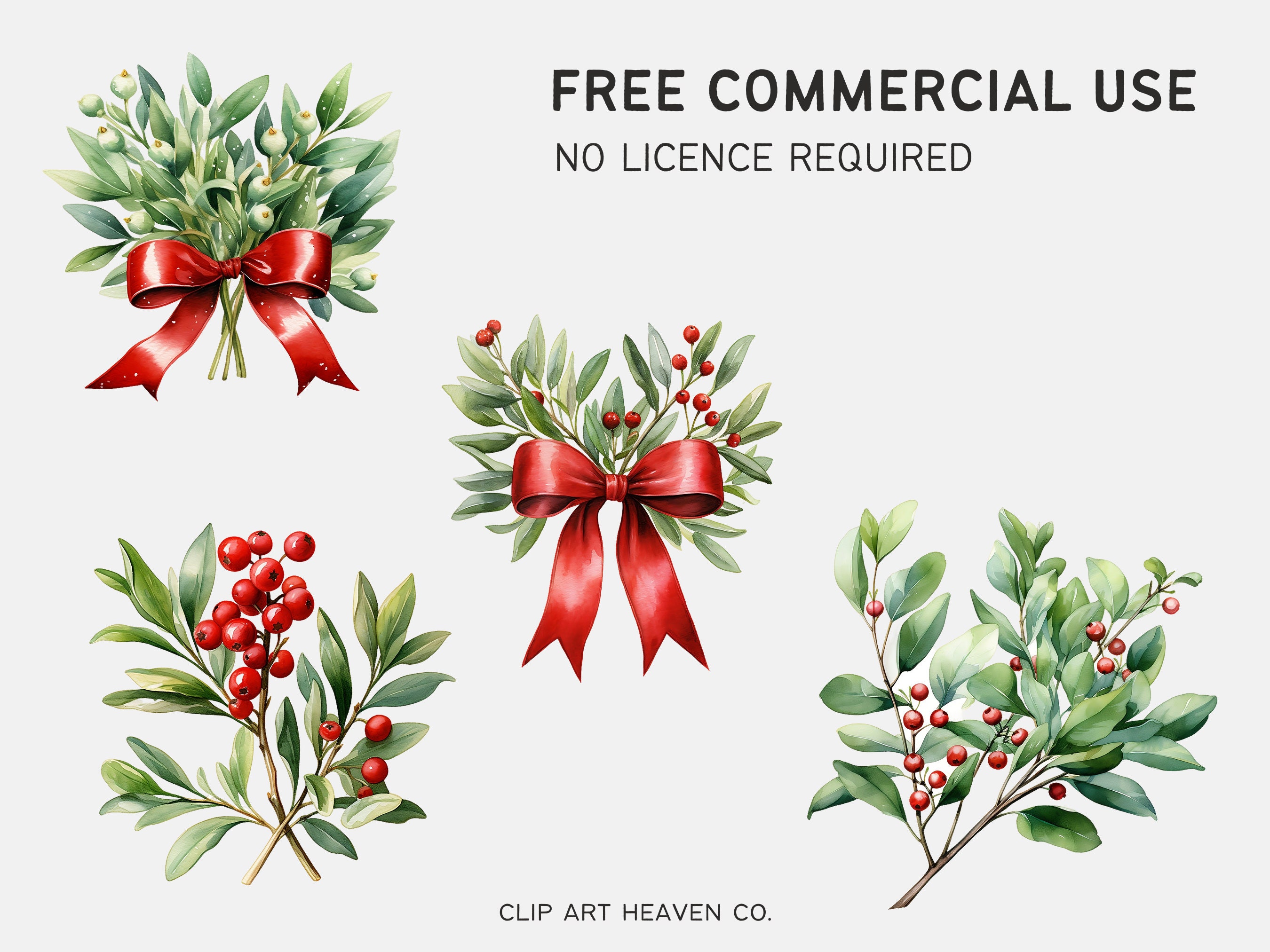 Mistletoe Clipart | 10 PNG | Watercolor Christmas Flower Clipart PNG ...