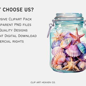 Watercolor Seashell Clipart 10 PNG Seashell in Jar, Beach Clipart ...