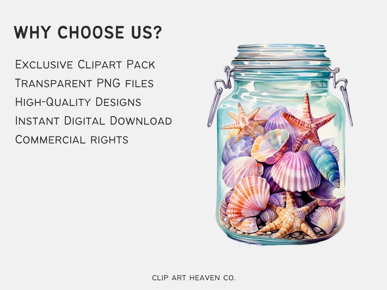 Watercolor Seashell Clipart 10 PNG Seashell in Jar, Beach Clipart ...