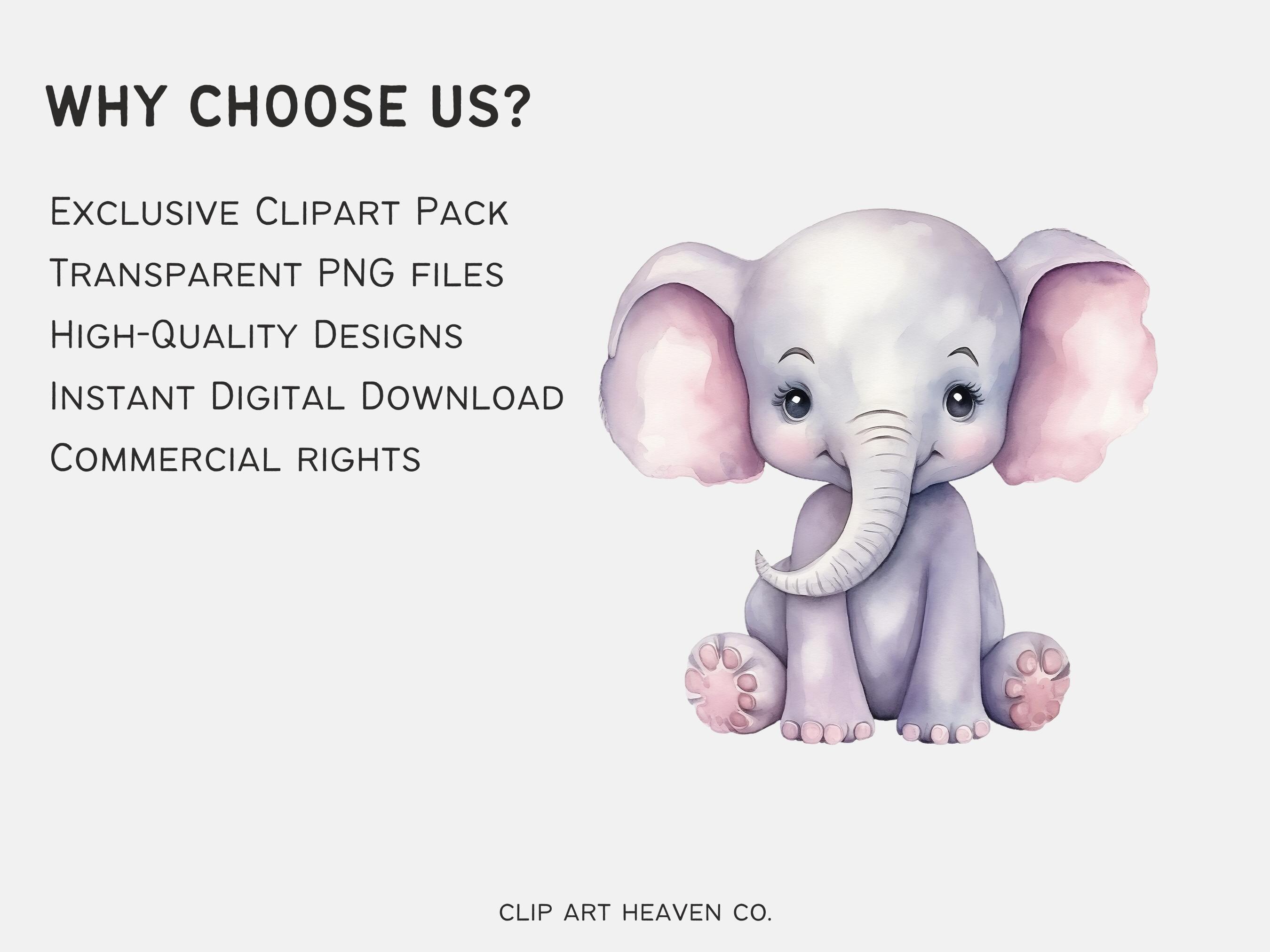 Watercolor Baby Elephant Clipart: 10 PNG Images (digital Download) - Etsy