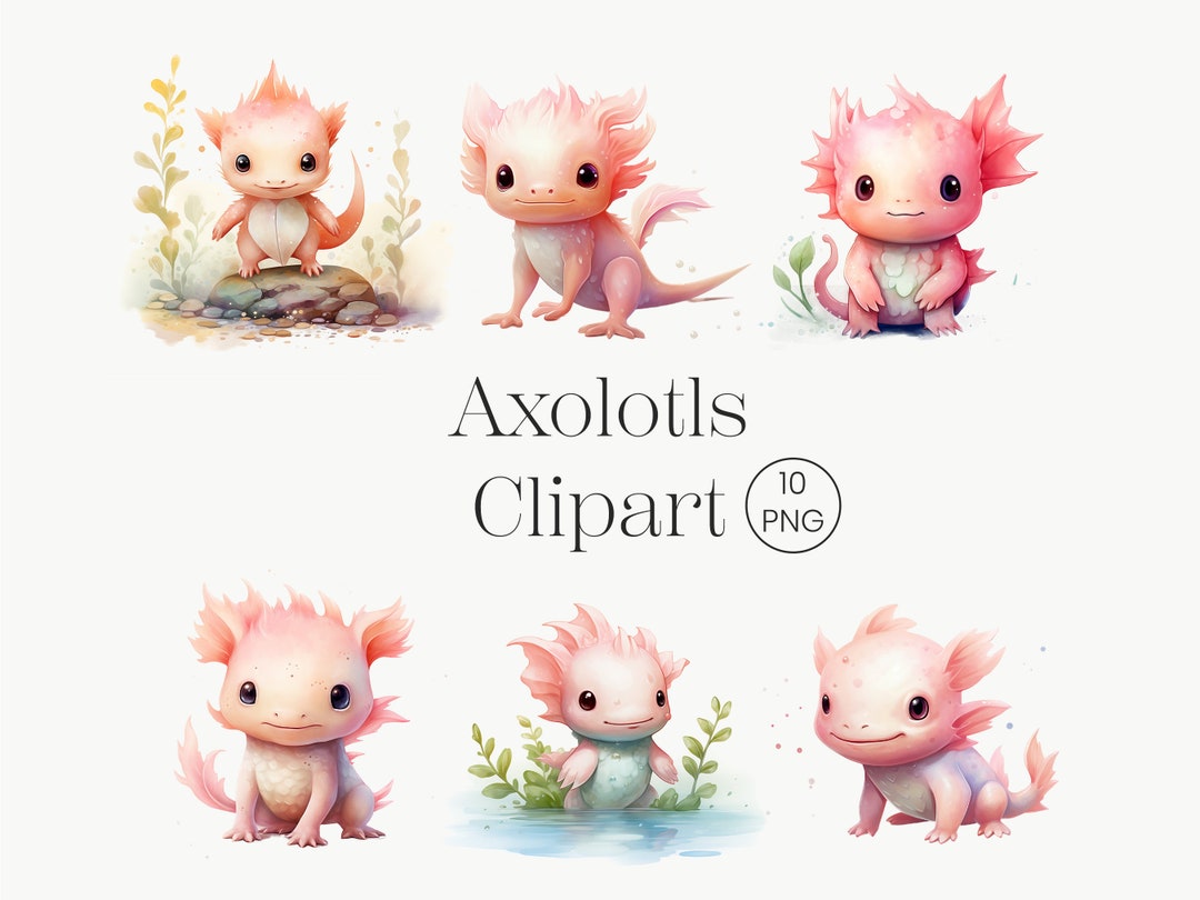 Watercolor Axolotls Clipart, 10 PNG Watercolor Highland Cute Baby ...