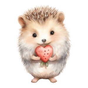 Cute Animal Valentines Clipart | 10 JPG | Cute Hedgehog Clip Art ...