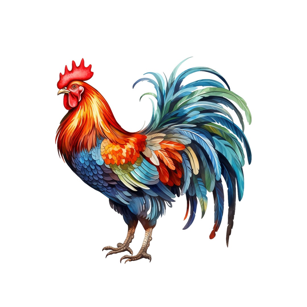 Watercolor Rooster Clipart | 10 JPG | Farm Animals Bird Colorful ...
