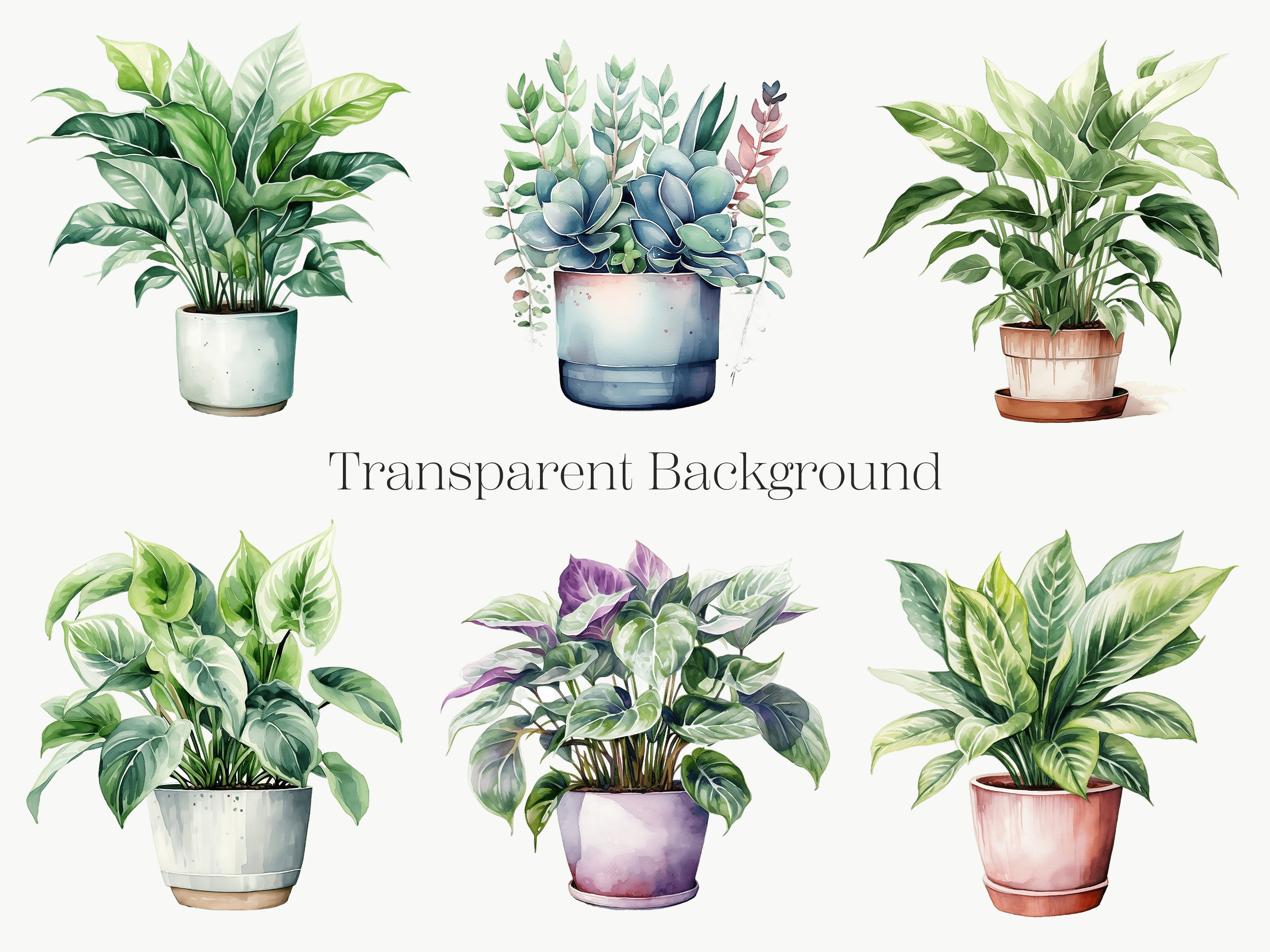House Plant Watercolor Png 10 Transparent PNG Flower Pot - Etsy