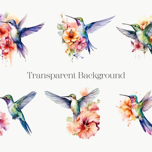Watercolor Hummingbird Clipart 10 PNG Colorful Bird, Floral Bird ...