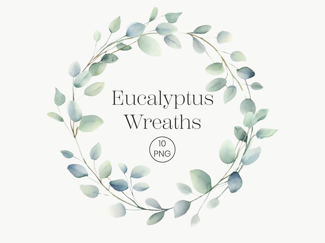 Eucalyptus Wreath Clipart | 10 PNG | Watercolor Eucalyptus Frame ...