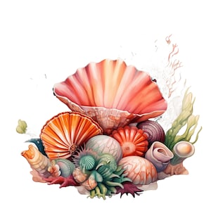 Watercolor Seashell Clipart, 10 Jpg, Coral Reef Seashells Clipart Ocean ...
