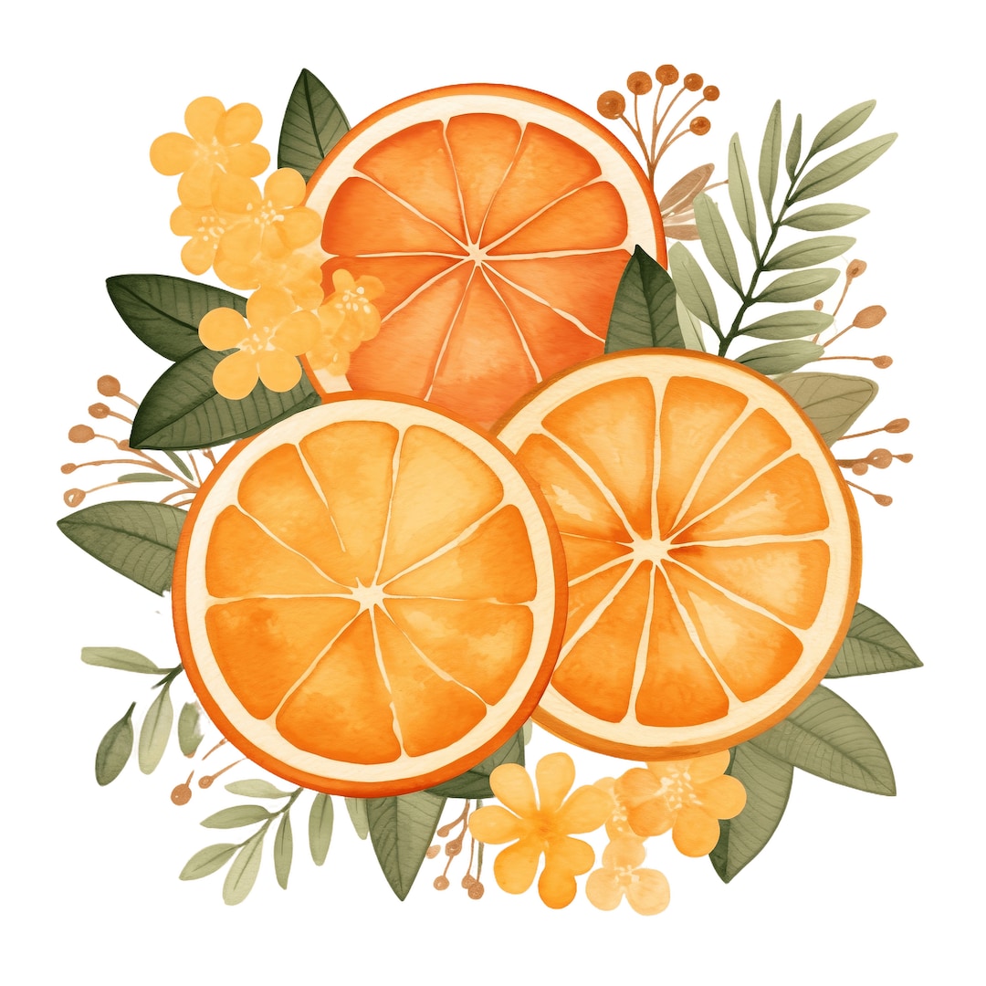 Watercolor Orange Clipart 10 JPG Watercolor Fruit Clipart, Citrus ...