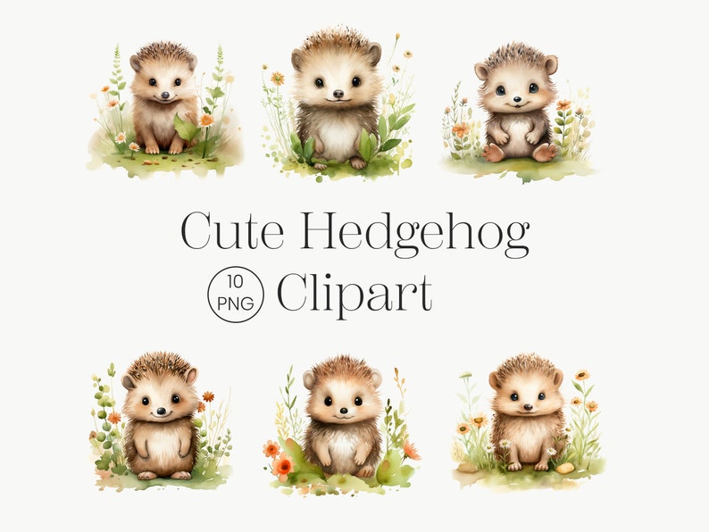 Watercolor Hedgehog Clipart, Woodland Animals, Nursery Art (digital ...