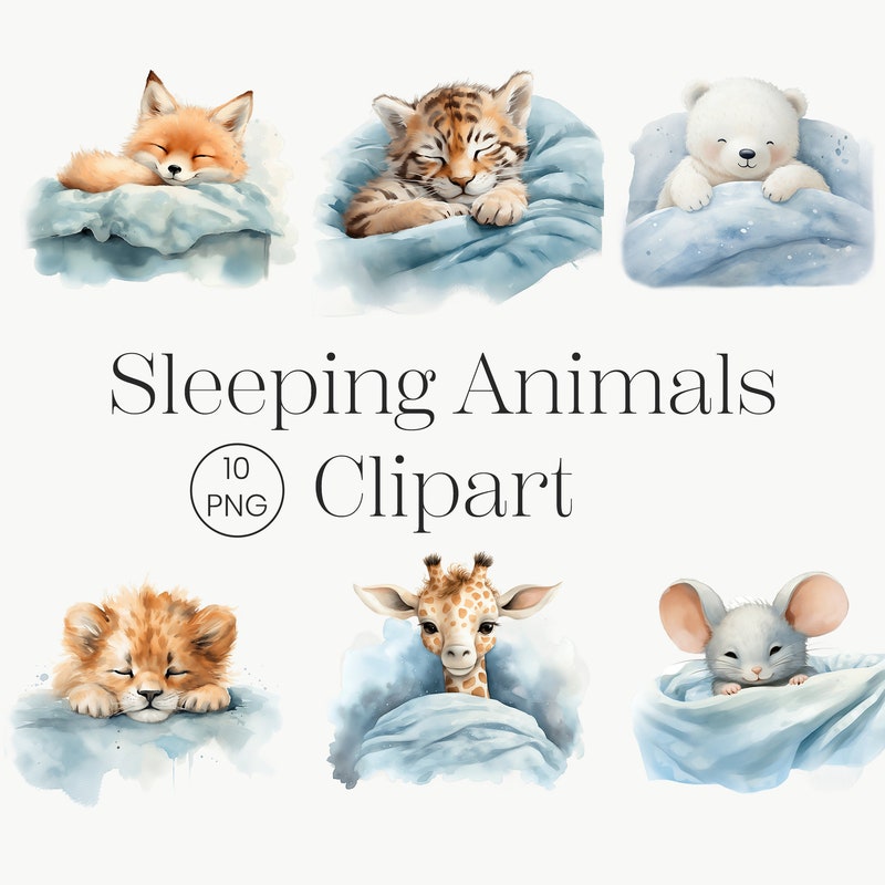 Sleeping Animals Clipart - Etsy