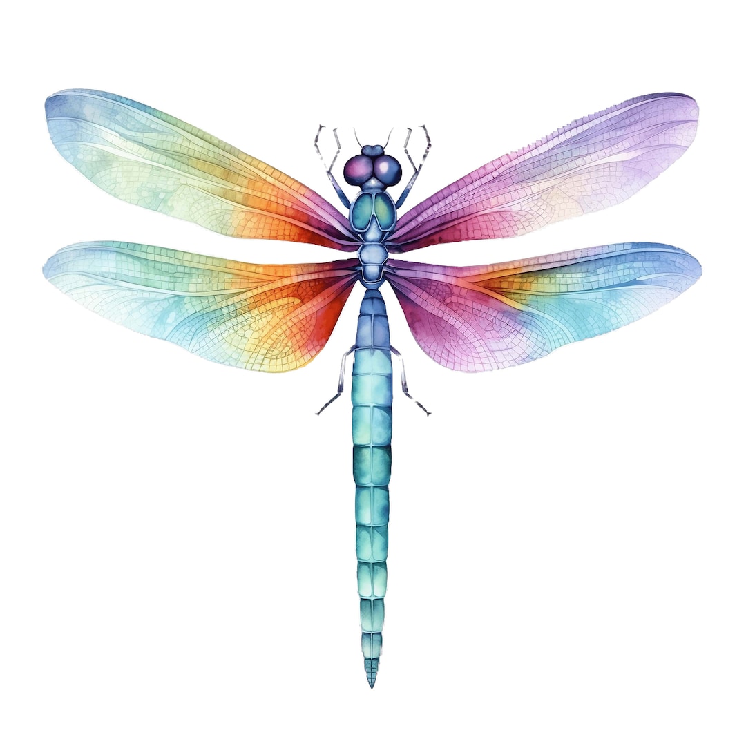 Watercolor Dragonfly Clipart: Colorful Insect Illustrations (JPG ...