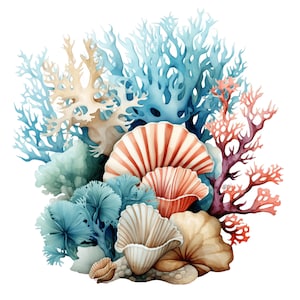 Watercolor Seashell Clipart, 10 Jpg, Coral Reef Seashells Clipart Ocean ...