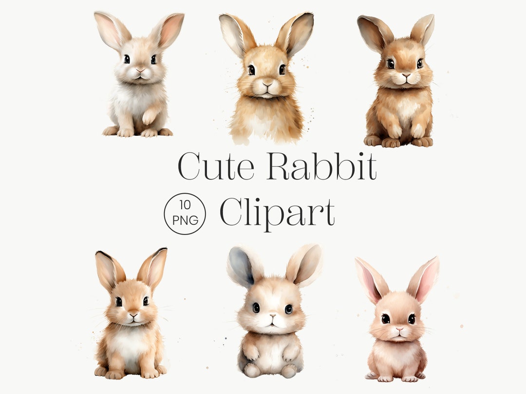 Cute Rabbit Clipart, 10 High Quality PNG, Fluffy Bunny Clipart, Rabbit ...