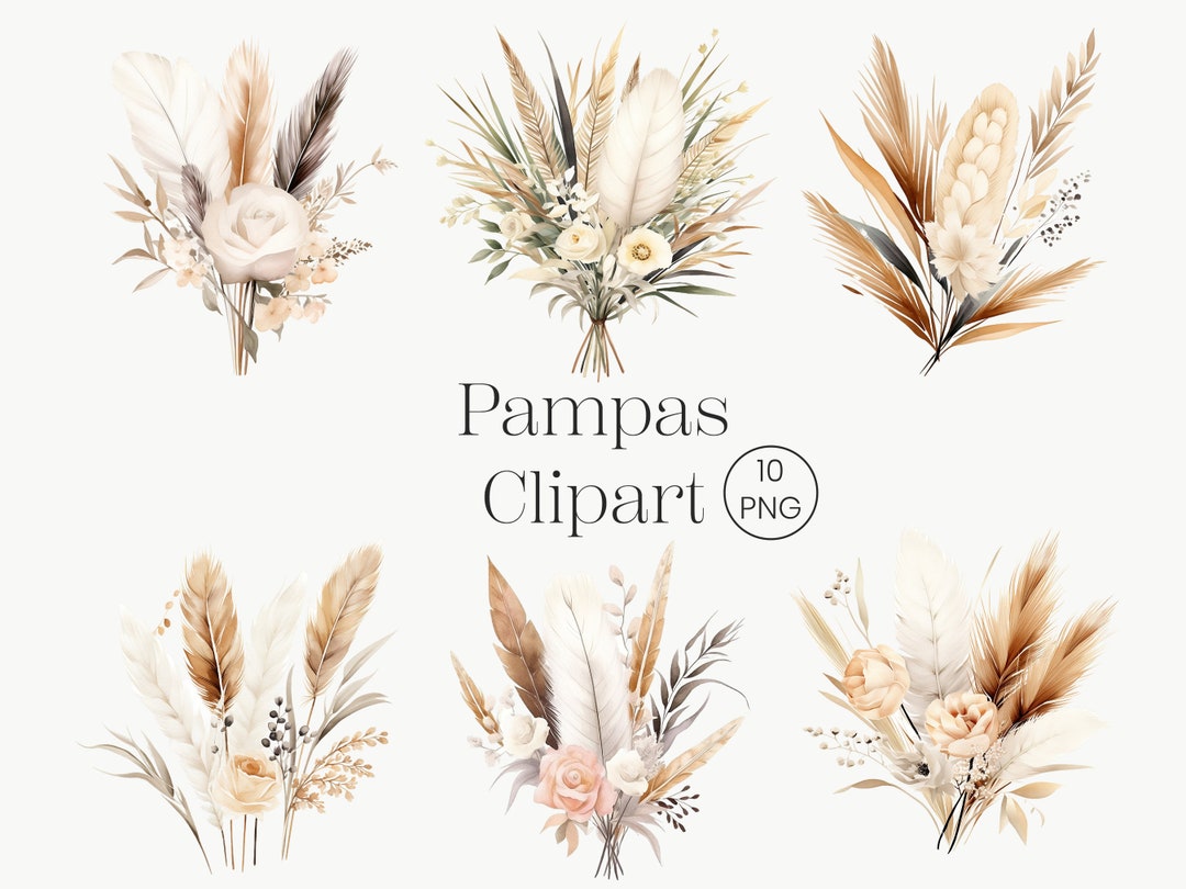 Watercolor Boho Flowers Clipart 10 PNG Pampas Grass Clipart, Boho ...