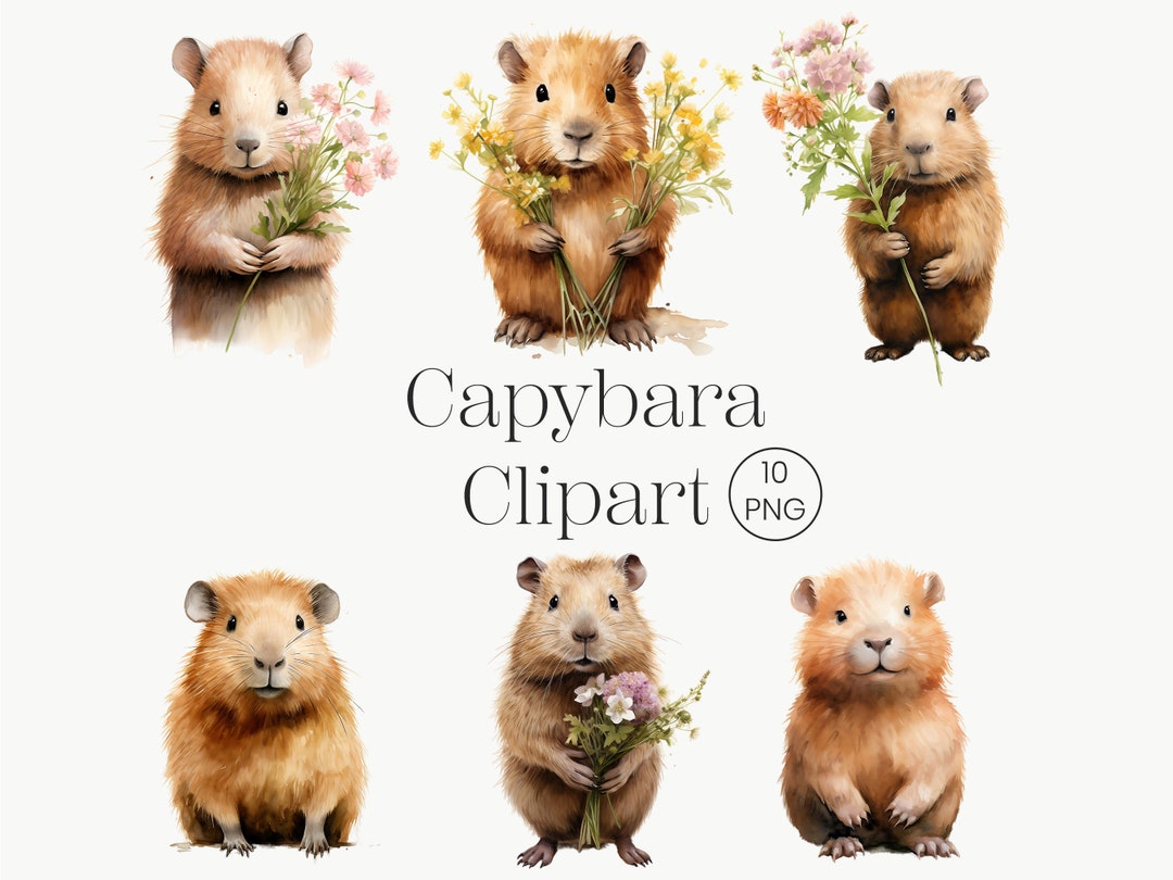 Cute Capybara Clipart, 10 PNG Cute Animal With Flowers, Floral Animal ...