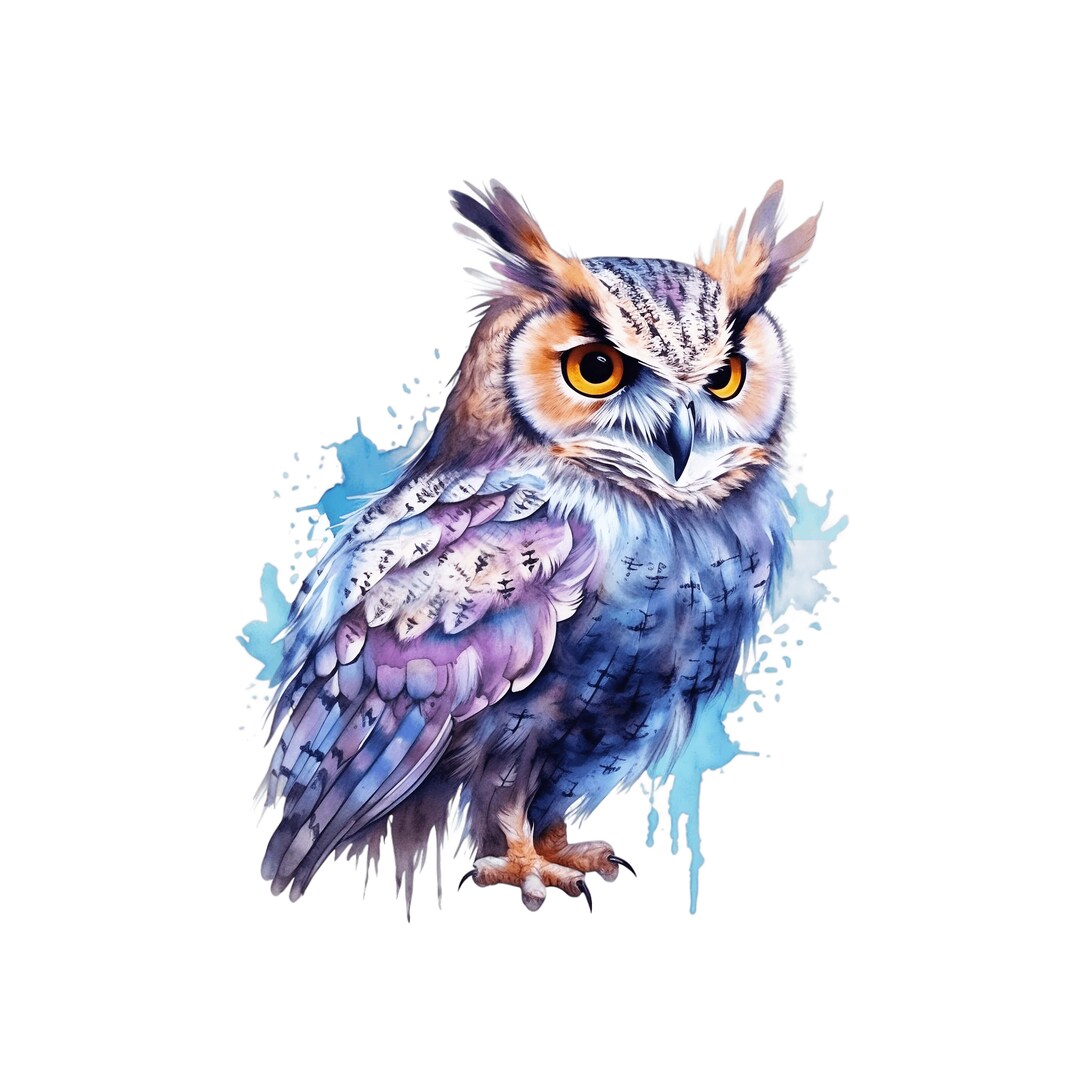 Watercolor Owl Clipart | Floral Bird Illustration (digital Download) - Etsy
