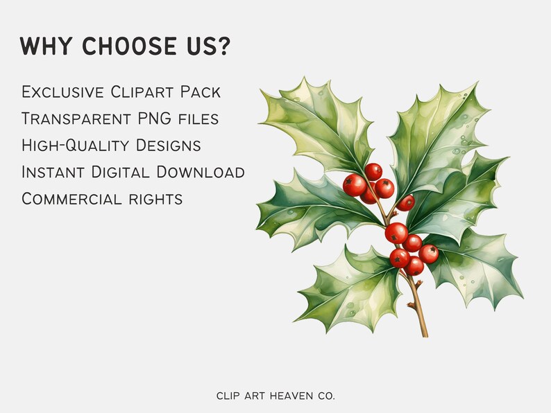 Christmas Holly Watercolor Clipart | 10 Transparent PNG | Christmas ...