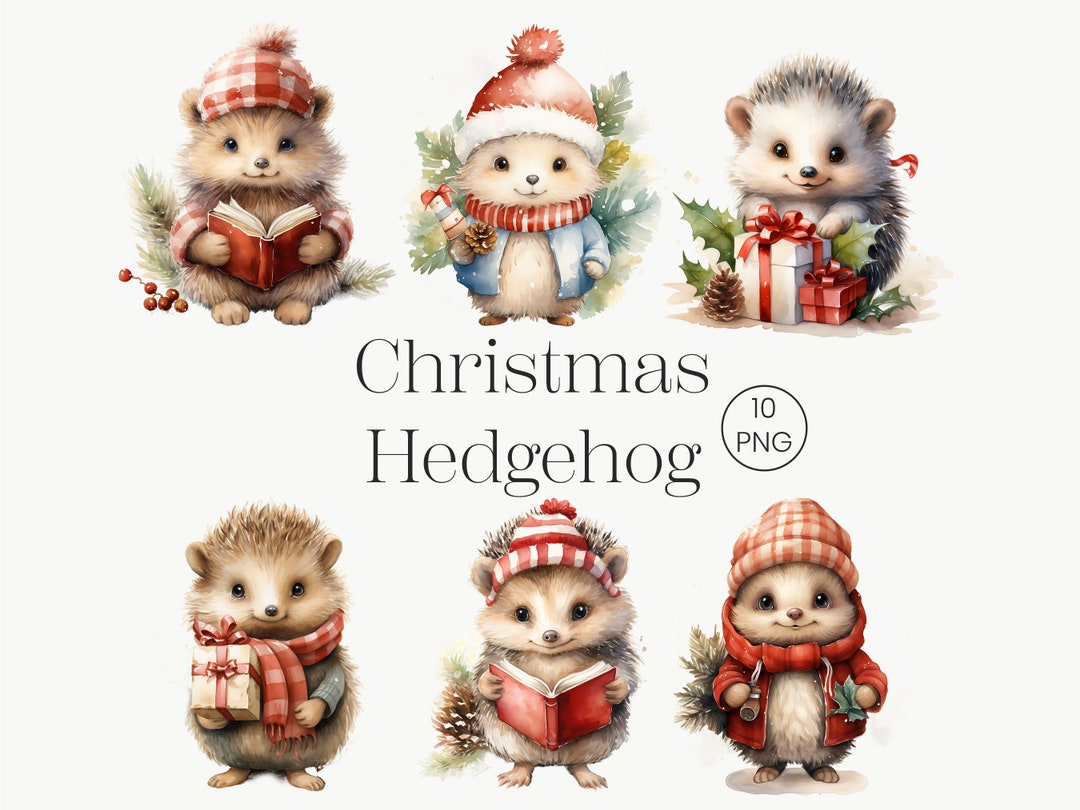Christmas Hedgehog Clipart, 10 PNG, Watercolor Christmas Clipart ...