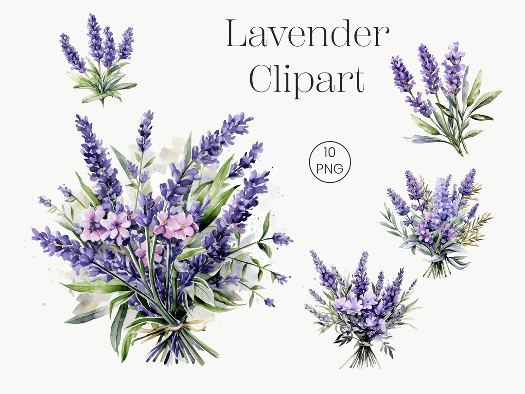Watercolor Lavender Bouquet Clipart | 10 Transparent PNG | Lavender ...