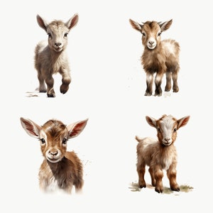 Baby Goat Clipart | 10 Transparent PNG, Digital Download | Farm Animals ...