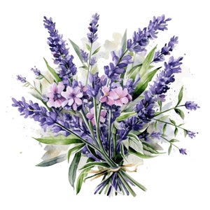 Lavender Clipart Purple Flower Bouquet | 10 High Quality JPG | Provence ...