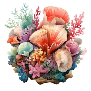 Watercolor Seashell Clipart, 10 Jpg, Coral Reef Seashells Clipart Ocean ...