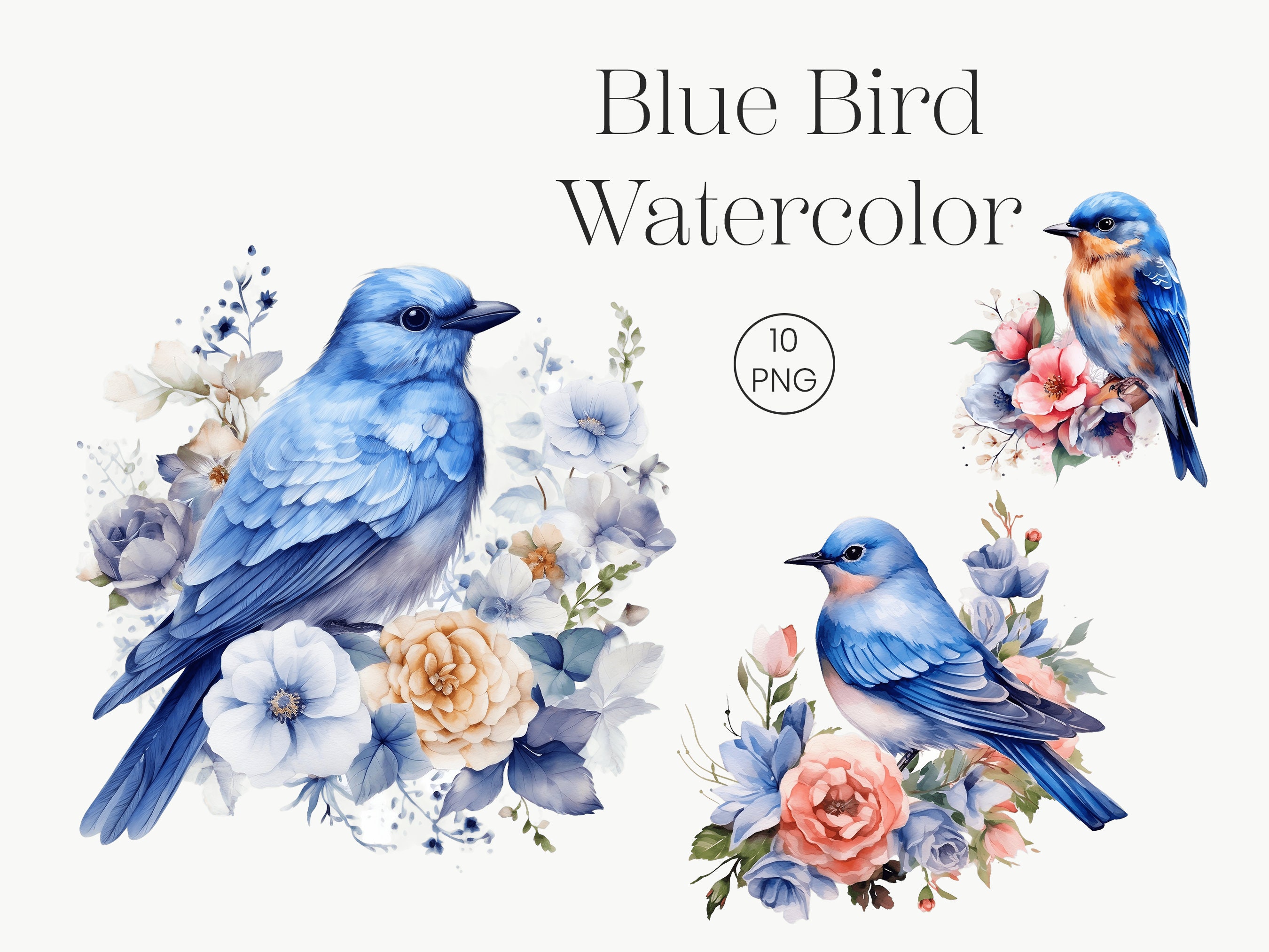 Blue Bird Watercolor Clipart 10 High Quality PNG Card Making ...