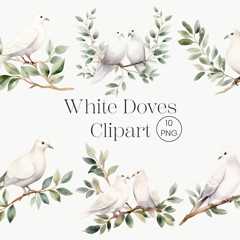White Dove - Etsy