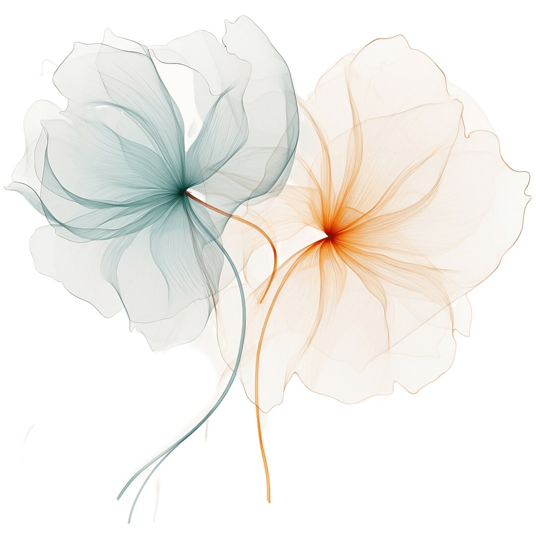 Boho Flowers Cliaprt 10 PNG Abstract Watercolor Floral Clipart Elegant ...