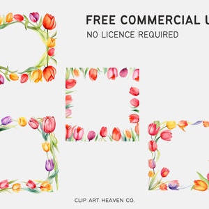 Watercolor Tulips Borders Clipart, 10 PNG Tulip Clipart, Colorful ...