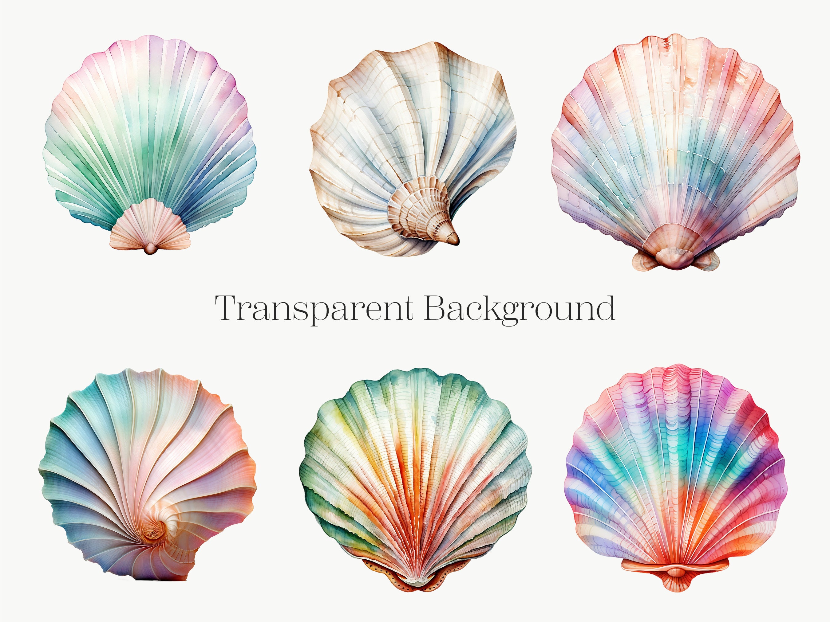 Watercolor Sea Shells Clipart 10 PNG Seashell Clipart, Nautical Clipart ...
