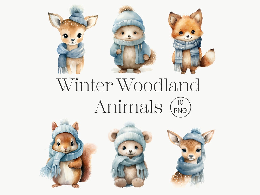 Forest Animals, Woodland Christmas Woodland Animal Clipart Winter ...