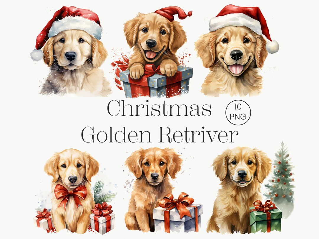 Golden Retriever Dog Clipart 10 PNG Dog Santa Hat Watercolor Clipart ...