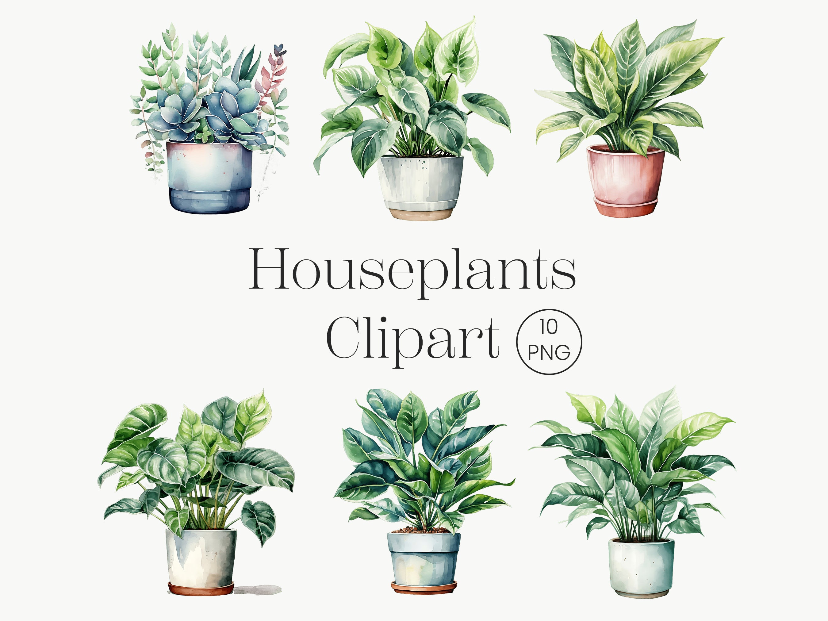 House Plant Watercolor Png 10 Transparent PNG Flower Pot - Etsy