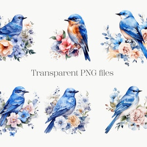 Blue Bird Watercolor Clipart 10 High Quality PNG | Card Making ...