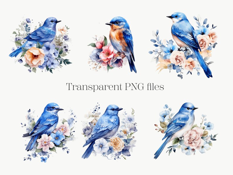 Blue Bird Watercolor Clipart 10 High Quality PNG Card Making ...