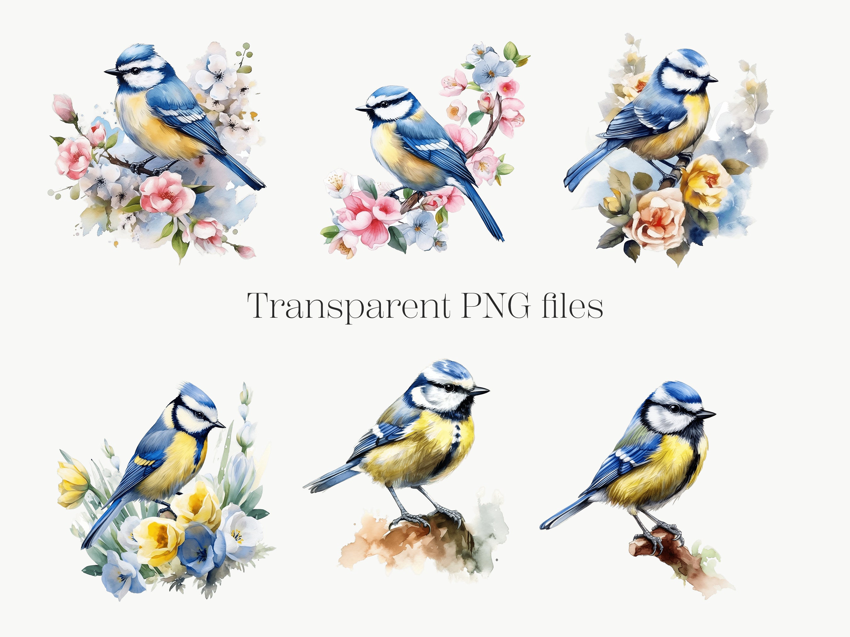 Spring Bird Clipart With Flowers 10 PNG Bluetit Clipart Card Making ...