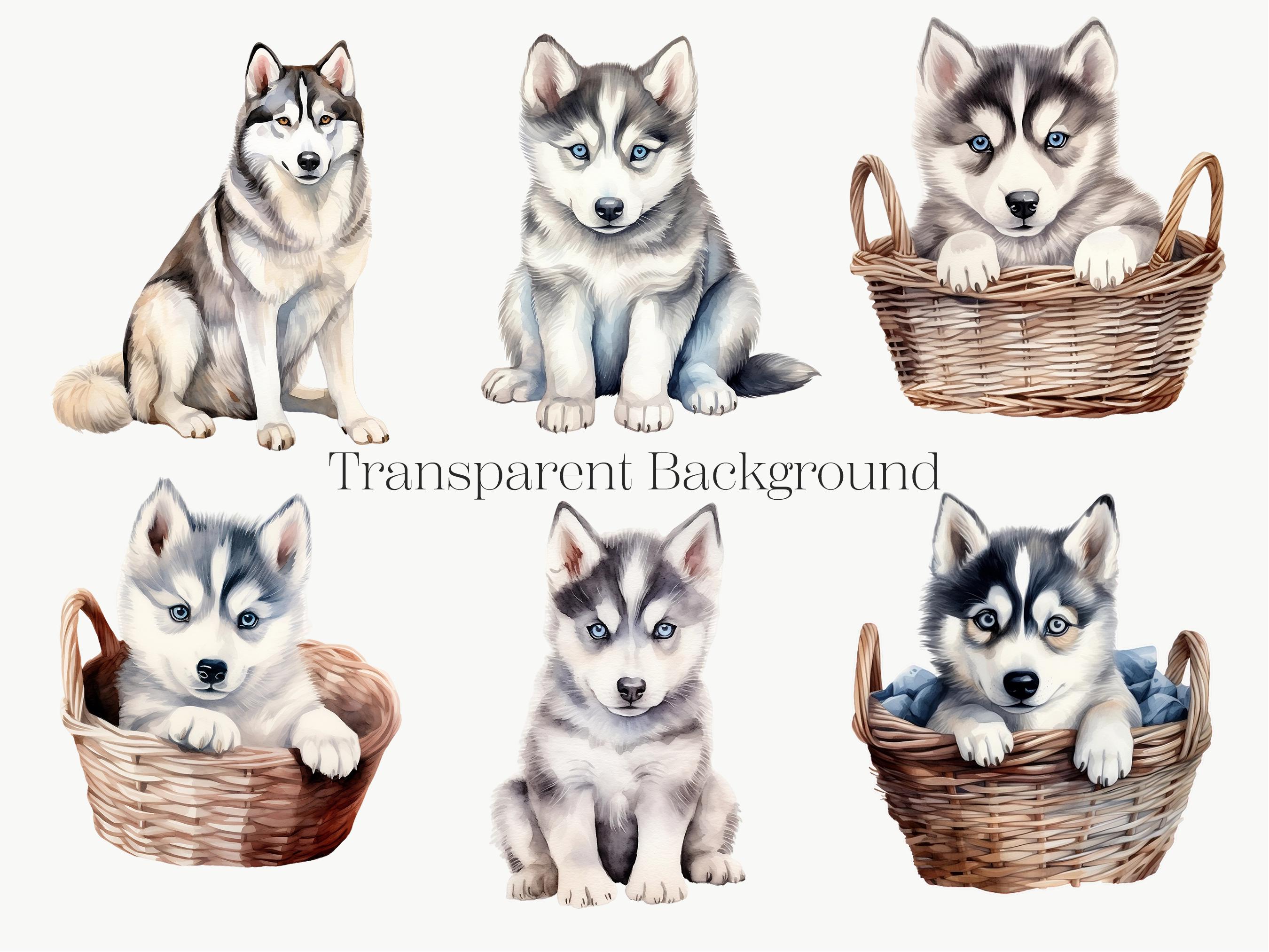 Cute Husky Clipart, Adorable Dog PNG Set, Siberian Husky Digital Art ...