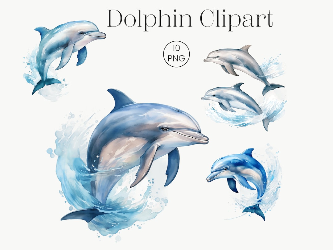 Cute Dolphin Clipart | 10 High Quality Transparent PNG | Cute and Funny ...