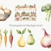 Farmers Market Clipart | 10 PNG | Vegetable Clipart, Farmers Market PNG ...