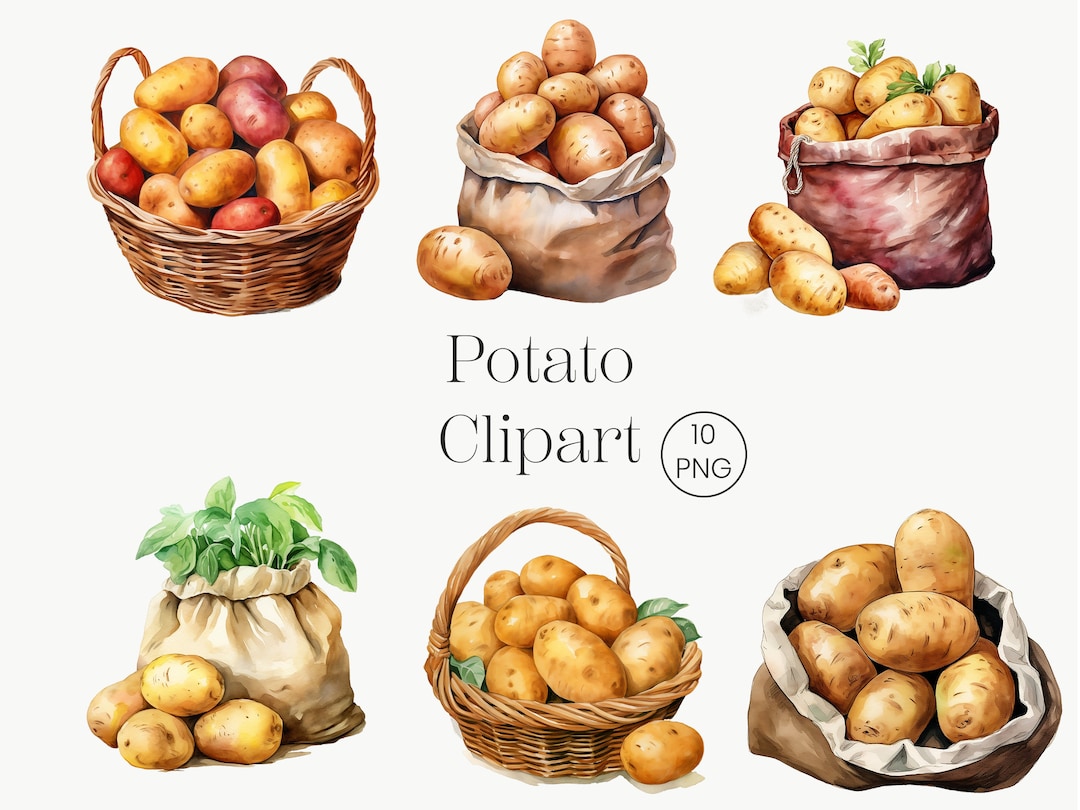 Watercolor Potato Clipart | 10 PNG Vegetable Clipart, Potato PNG Junk ...