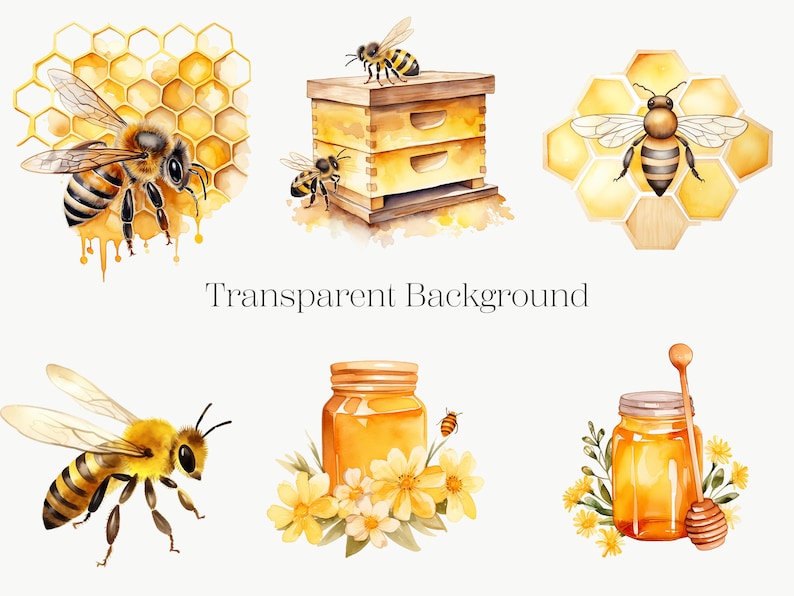 Honey Bee Watercolor Clipart: Honeycomb & Beehive PNG (digital Download ...
