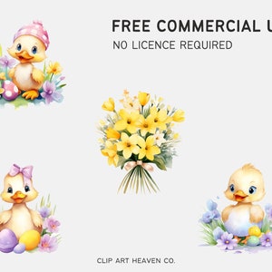 Easter Duck Clipart | 10 Transparent PNG | Spring Clipart, Easter ...