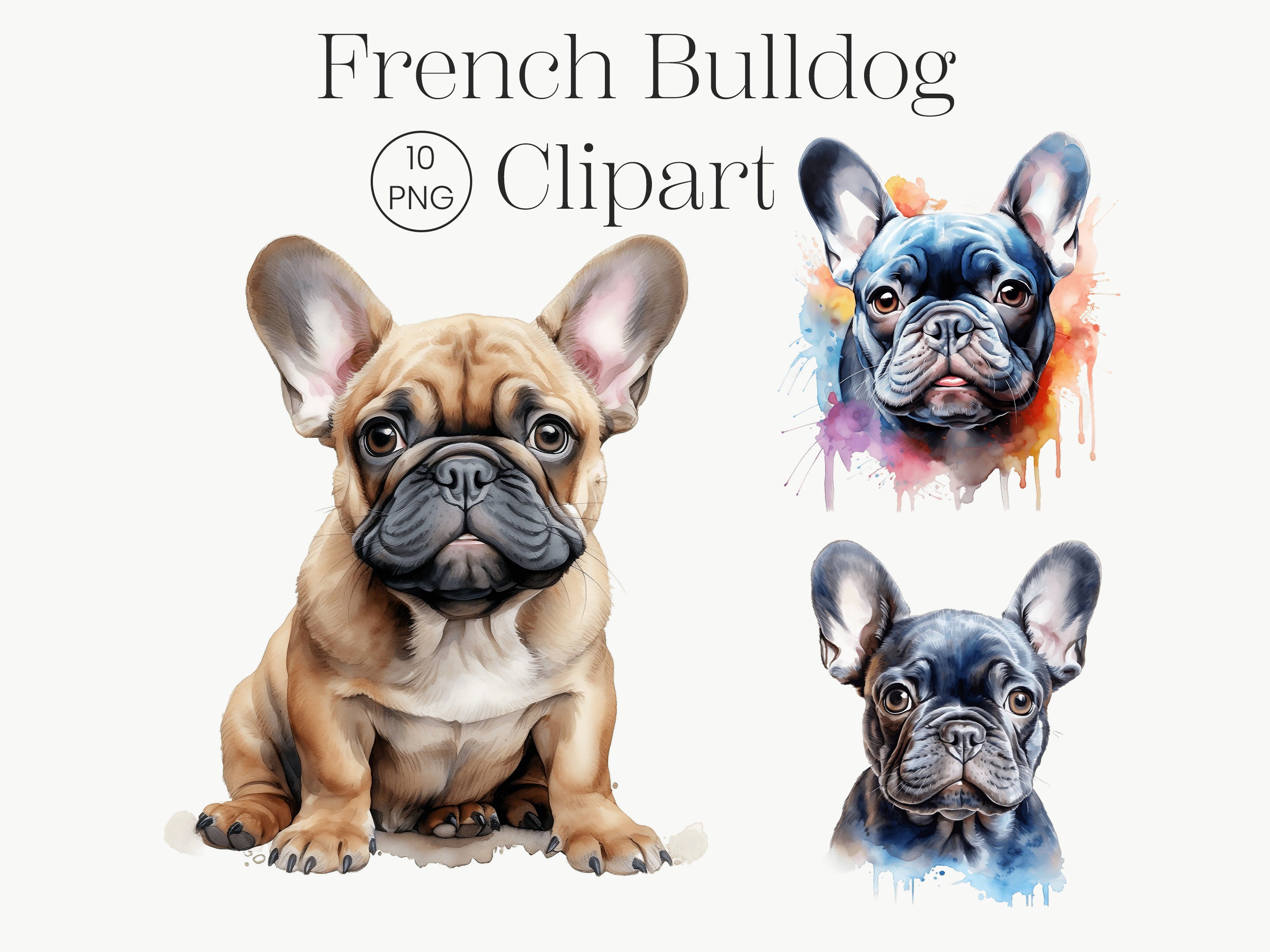 French Bulldog Clipart 10 High Quality PNG Watercolor Dog Clipart ...