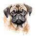 Pug Clipart | 10 High Quality JPG | Cute Pug in Basket Cute Puppy ...