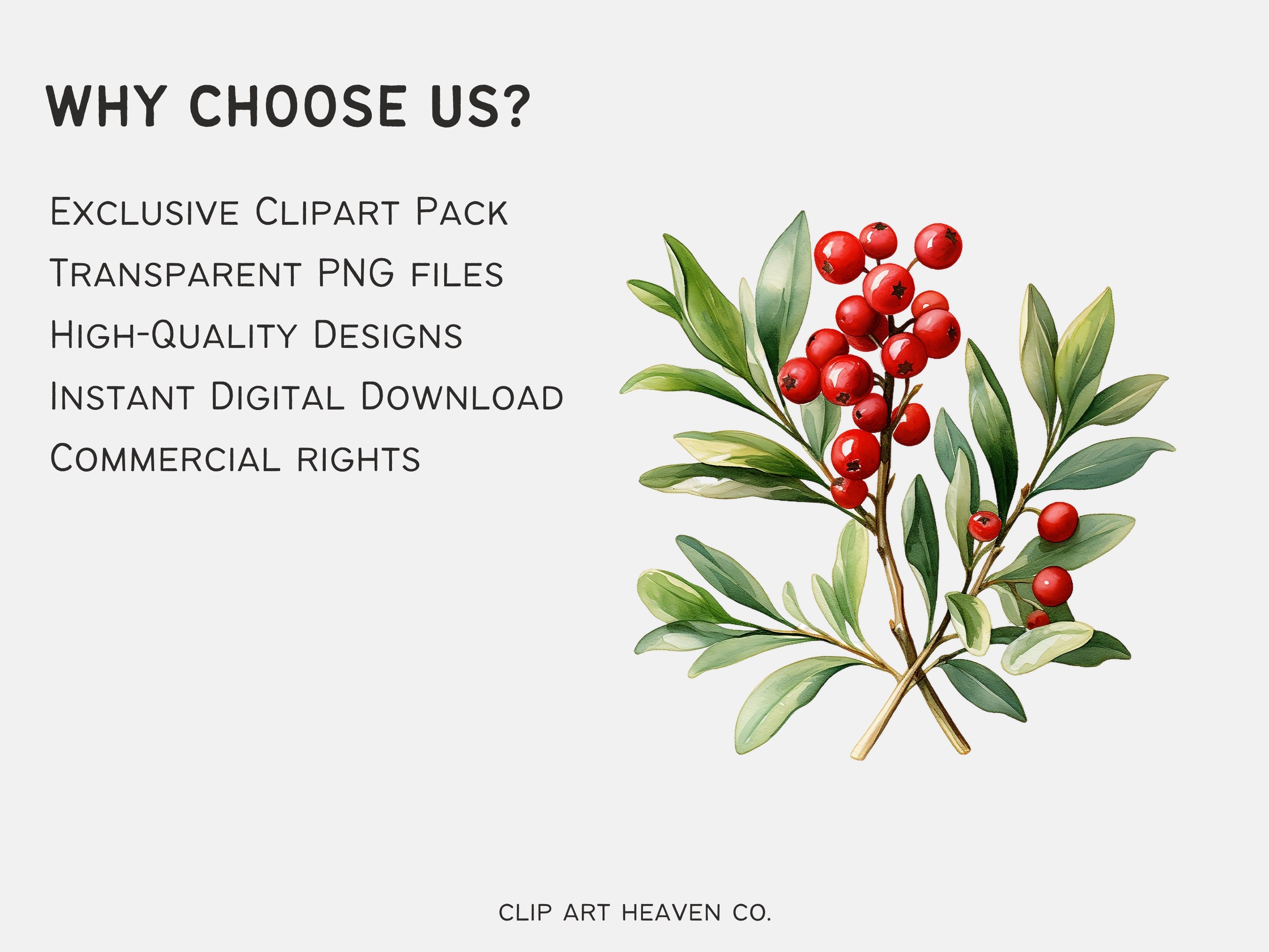 Mistletoe Clipart | 10 PNG | Watercolor Christmas Flower Clipart PNG ...