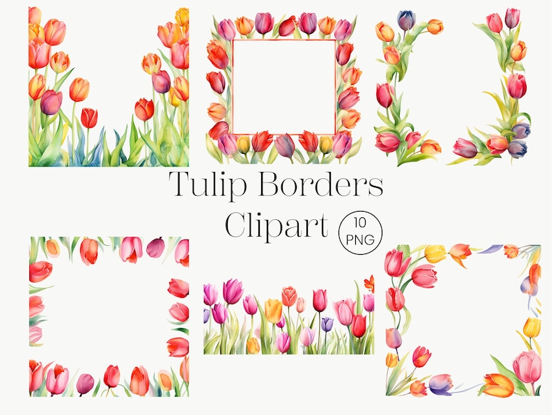 Watercolor Tulip Borders Clipart: Spring Floral PNG (digital Download ...